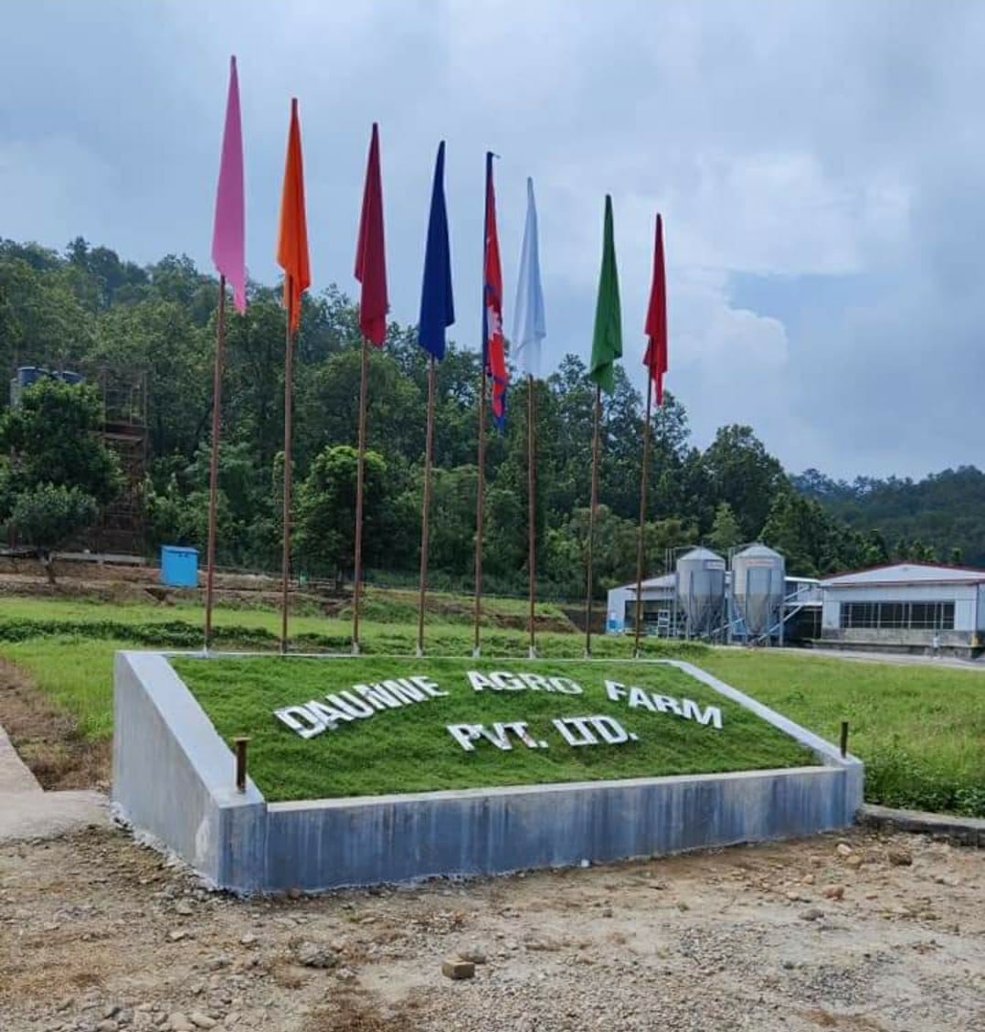 晃伸製機｜ホームページ